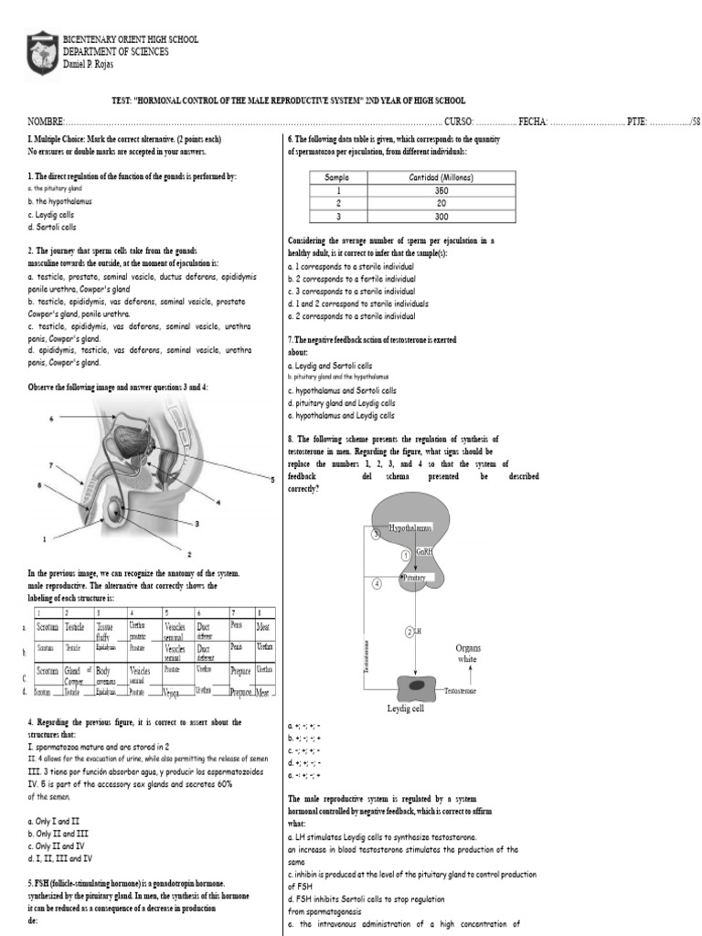 Test Male Reproductive System 2 Intermediate | PDF | Testicle ...