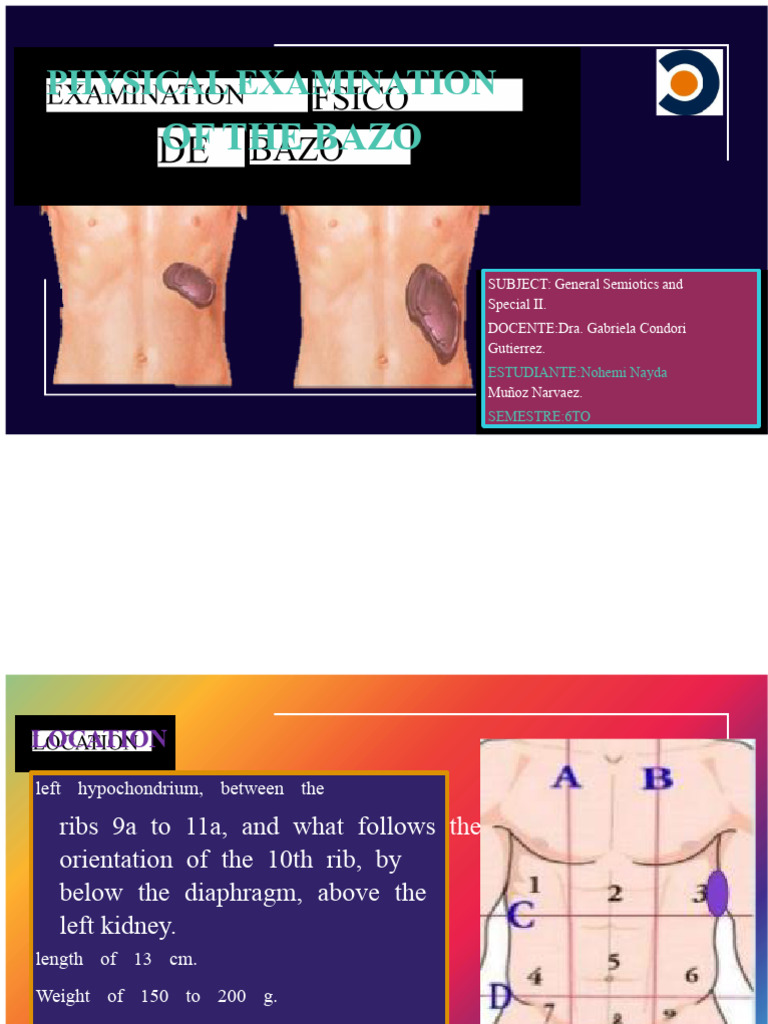 Physical Examination of the Spleen | PDF