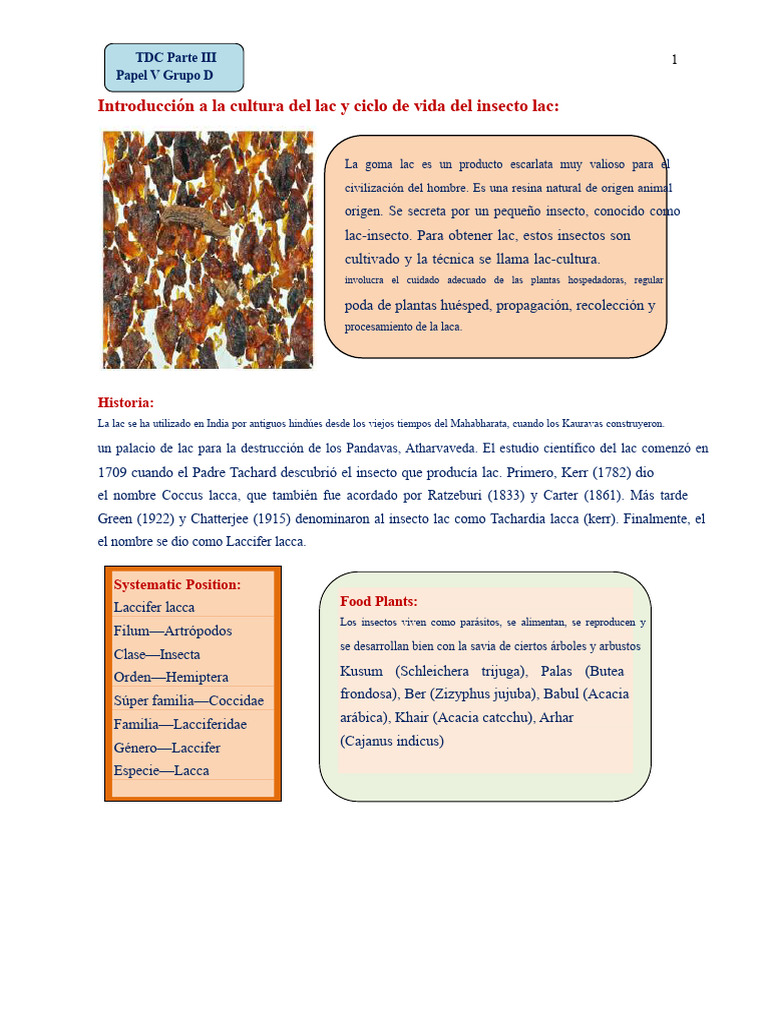Ciclo de Vida Del Insecto de La Laca | PDF | Insectos | Hembra