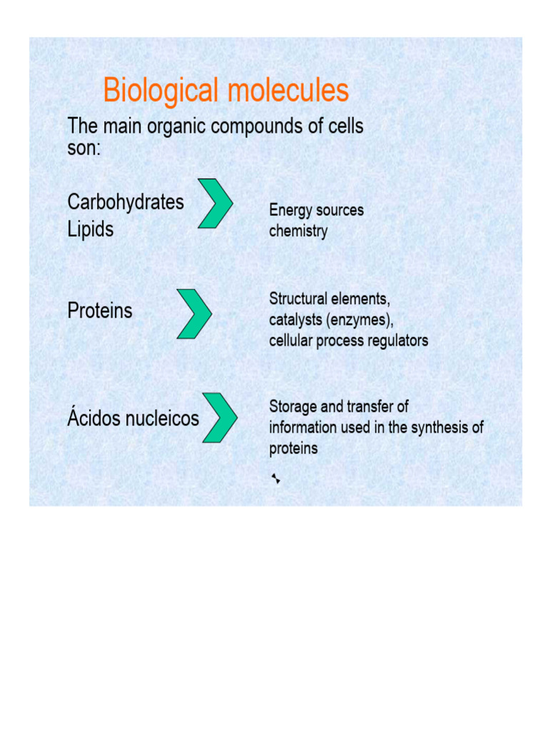 Overview of Biological Molecules | PDF | Nucleotides | Carbohydrates