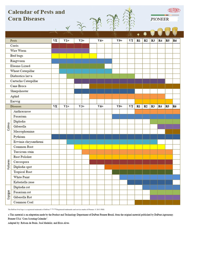 Calendar Pests Diseases Corn PDF | PDF