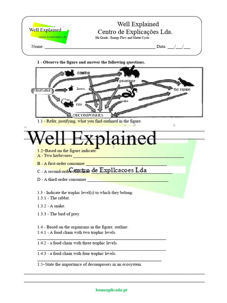 Energy Flow and Matter Cycle 1 | PDF | Food Web | Earth Sciences