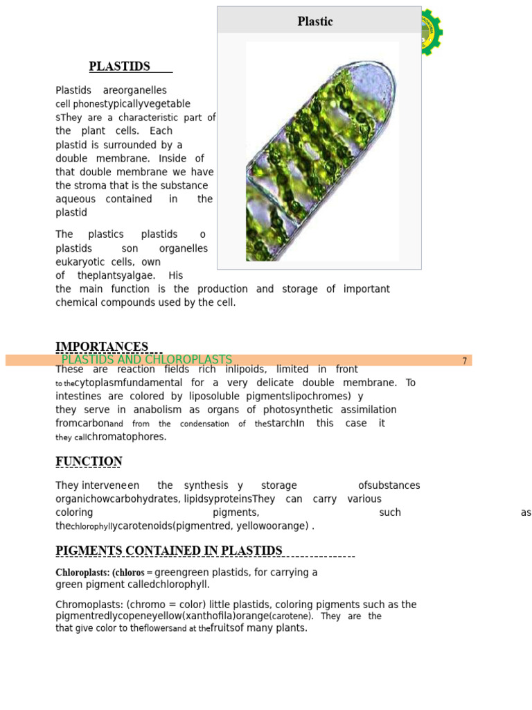 Plastids and Chloroplasts | PDF | Chloroplast | Photosynthesis