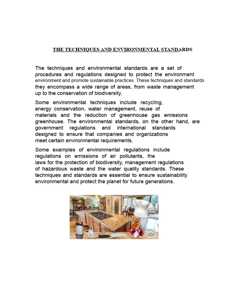 The Techniques and Environmental Standards | PDF | Waste Management | Waste