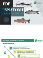 Structure des branchies des poissons | PDF | Branchie | Système ...