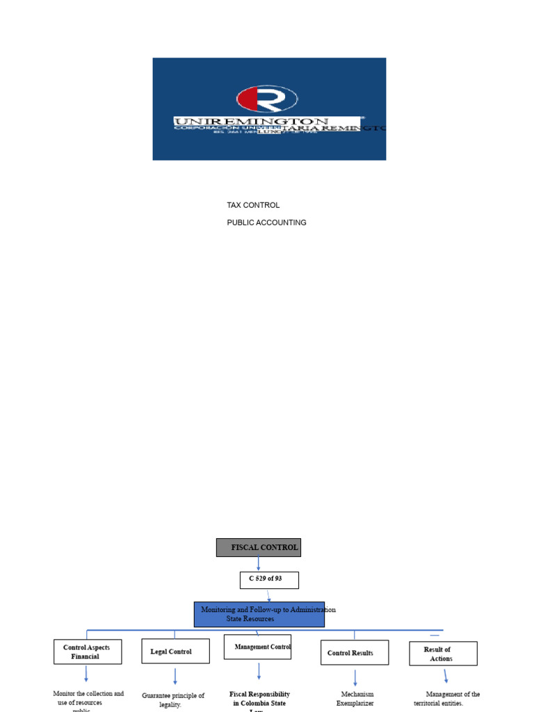 Conceptual Map Control Fiscal and Rule of Law | PDF | Rule Of Law | Taxes