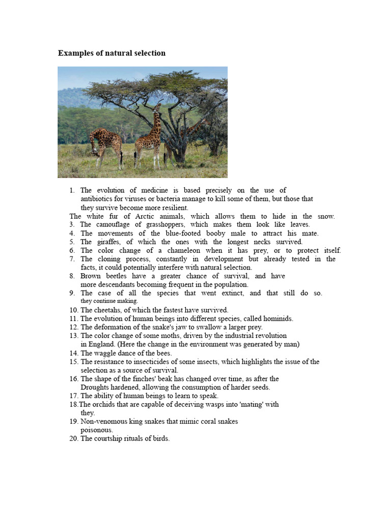 Natural Selection and Research Topic Selection | PDF | Drought | Knowledge