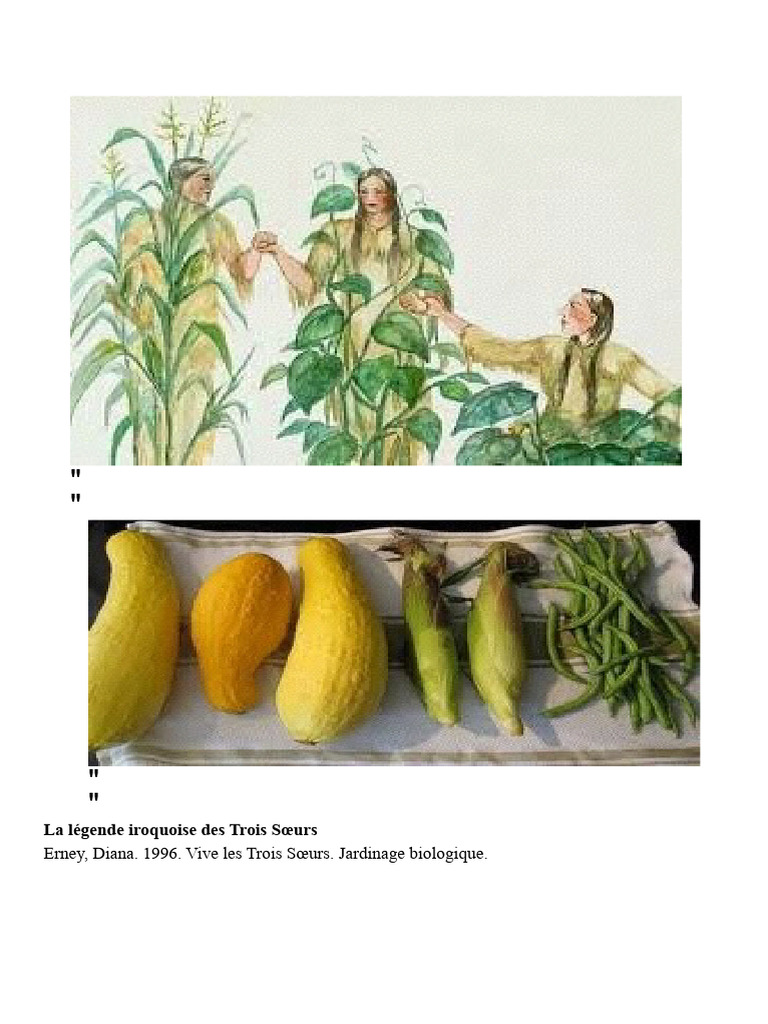 Légende Iroquoise des Trois Sœurs | PDF