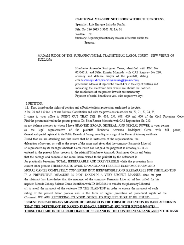 MODEL OF REQUEST FOR PRECAUTIONARY MEASURE OF EMBARGO | PDF | Lawsuit ...
