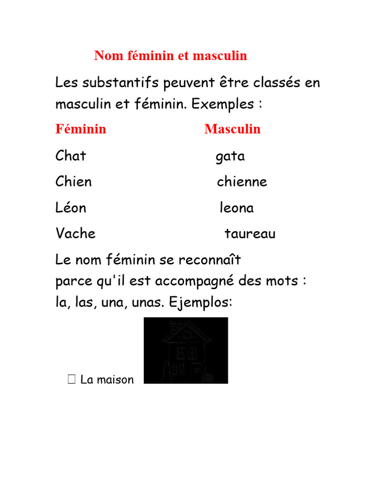 Genre des Noms : Masculin et Féminin | PDF