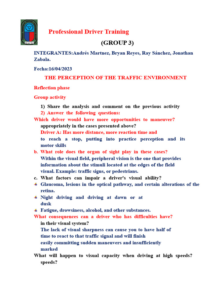 GROUP Nº3 (THE PERCEPTION OF THE TRAFFIC ENVIRONMENT) | PDF | Visual ...
