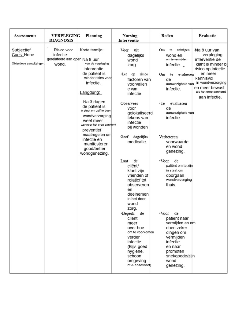 Verpleegkundige Zorgplan Voor Infectie. | PDF