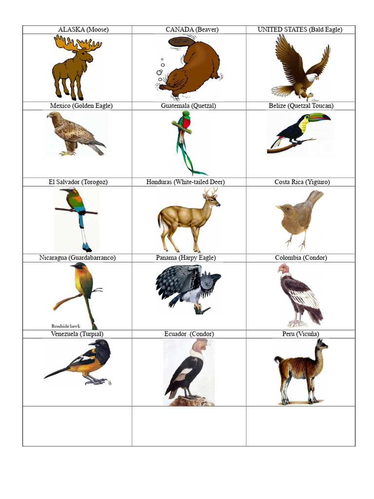Animals of Each Country in America | PDF