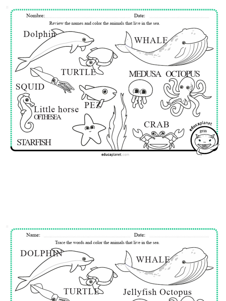 Sea Animal Coloring and Tracing Activity | PDF