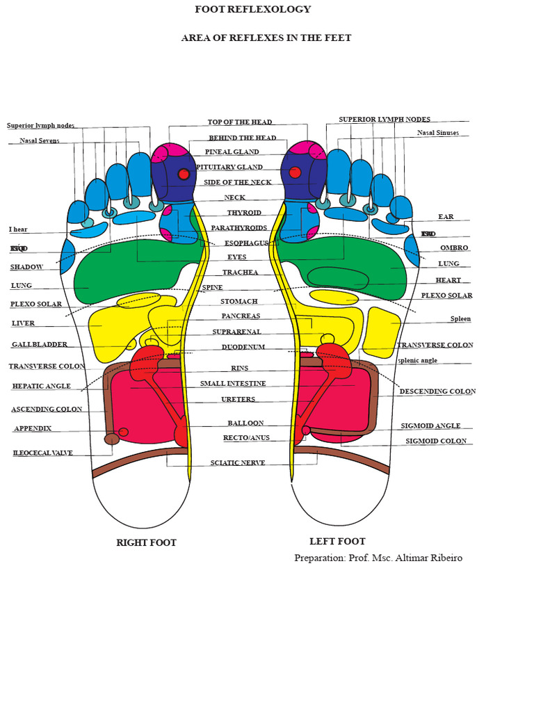 Foot Reflexology PDF | PDF | Large Intestine | Liver