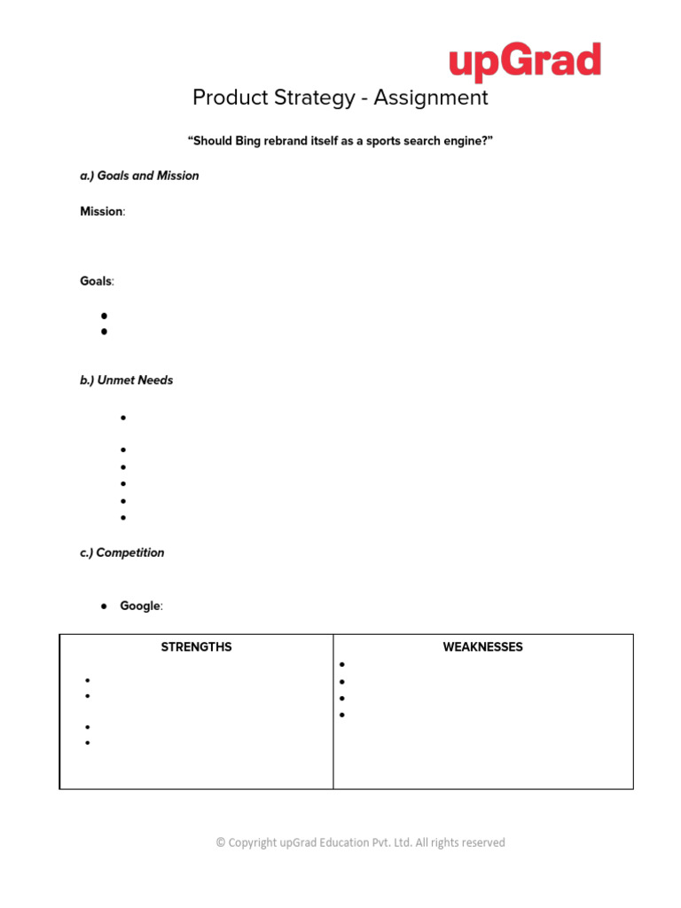 Product Strategy Assignment Template Vishwas | PDF | Advertising | Computing