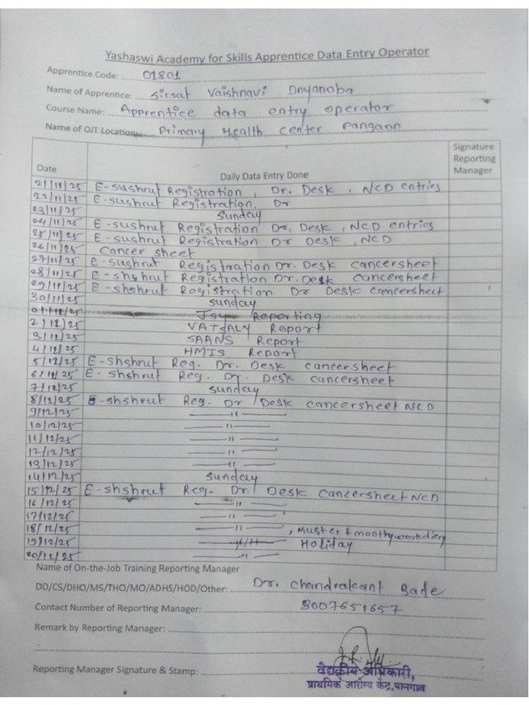 Daily Work Diary (1) | PDF