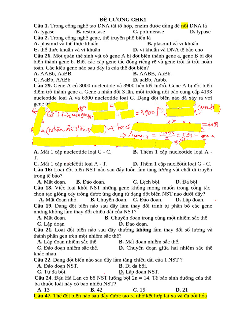 Đề Cương Rut Gon Chk1 | PDF