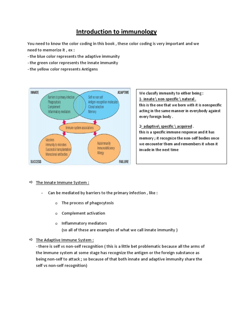 Immunology Basics: Innate vs Adaptive | PDF | Adaptive Immune System ...