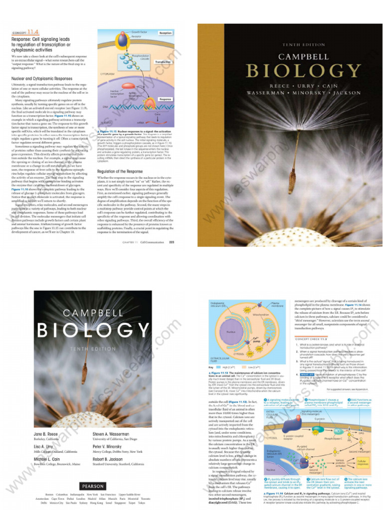 Campbell Biology Tenth Edition - Reece Urry Part1[1] | PDF