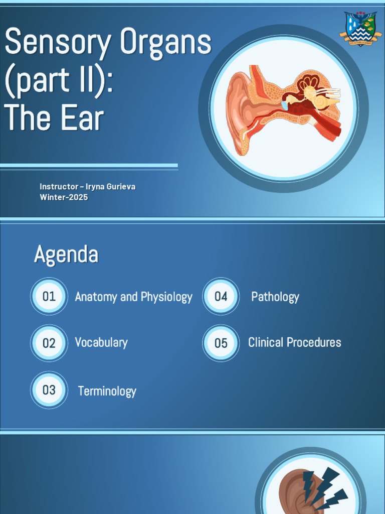 Oah401-Week 8 - Ear Edited | PDF | Ear | Hearing