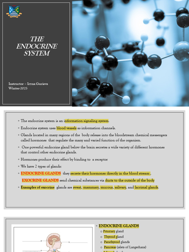 Edited OAH401-Week 9-The Endocrine System 1 | PDF | Adrenal Gland ...