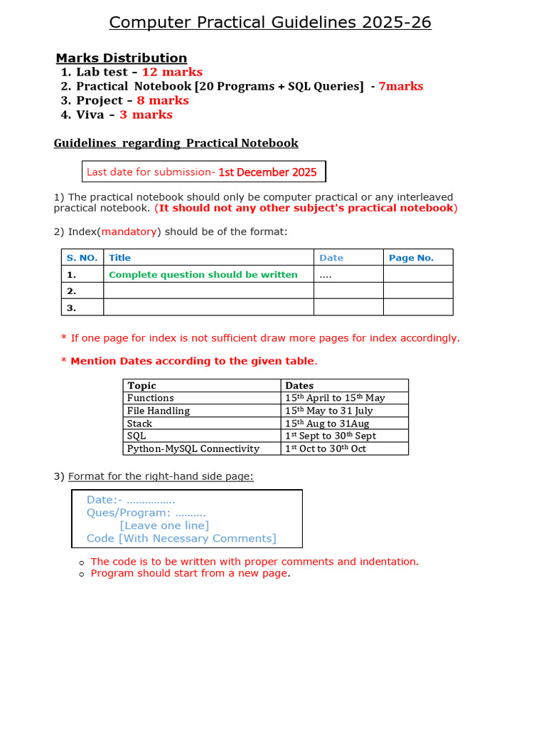 Computer Practical Guidelines 2025 | PDF | Computer Programming | Computing