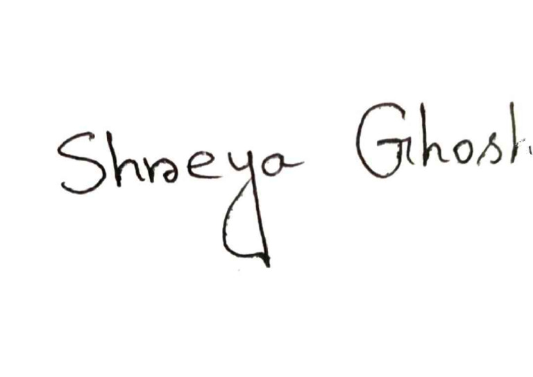 Default Folder | PDF