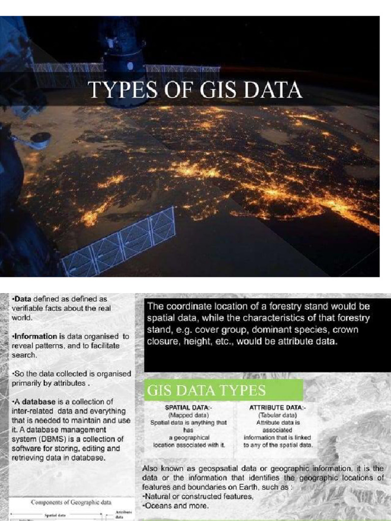 Gis Data Types | PDF
