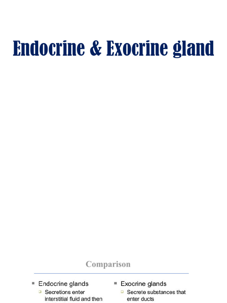 8. Exocrine & Endocrine Gland | PDF | Hormone | Endocrine System
