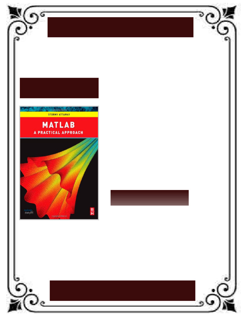 Matlab A Practical Introduction to Programming and Problem Solving 1st ...
