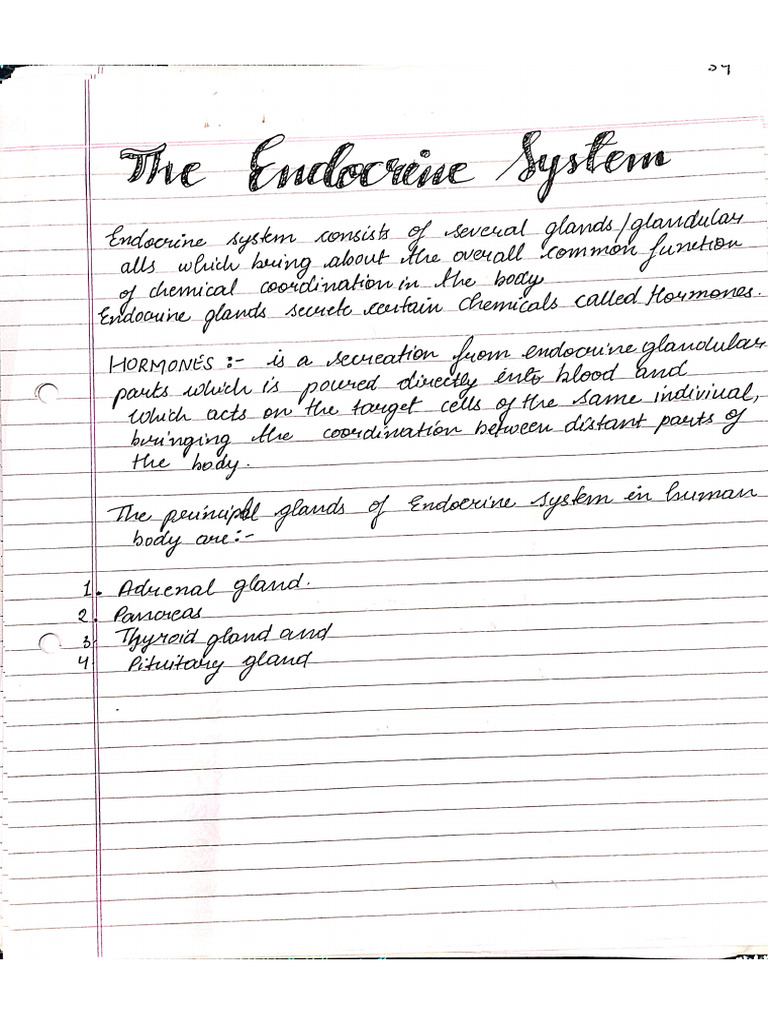 Endocrine Gland Lab Work | PDF