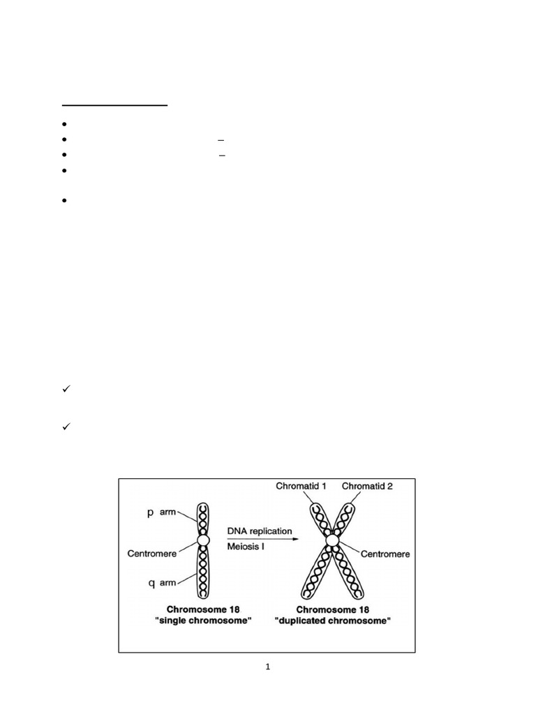 30 Lecture 30 Chromosomal Theory of Inheritance | PDF | Meiosis ...