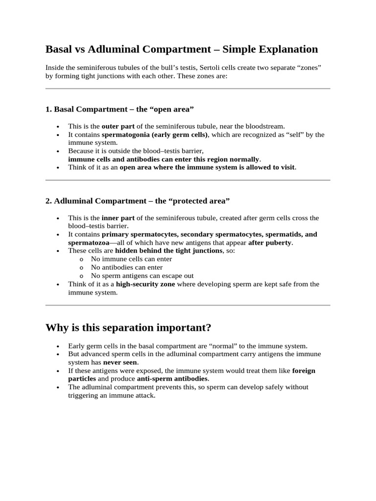 Basal Vs Adluminal Compartment | PDF
