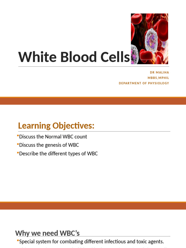 WBC 1 | PDF | White Blood Cell | Granulocyte