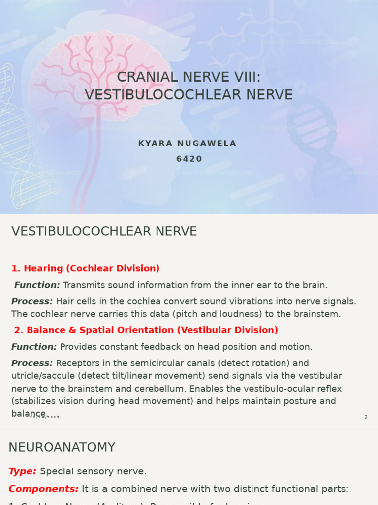 Cranial nerve 8-Neuroanatomy, Clinical Signs and Examination Methods ...