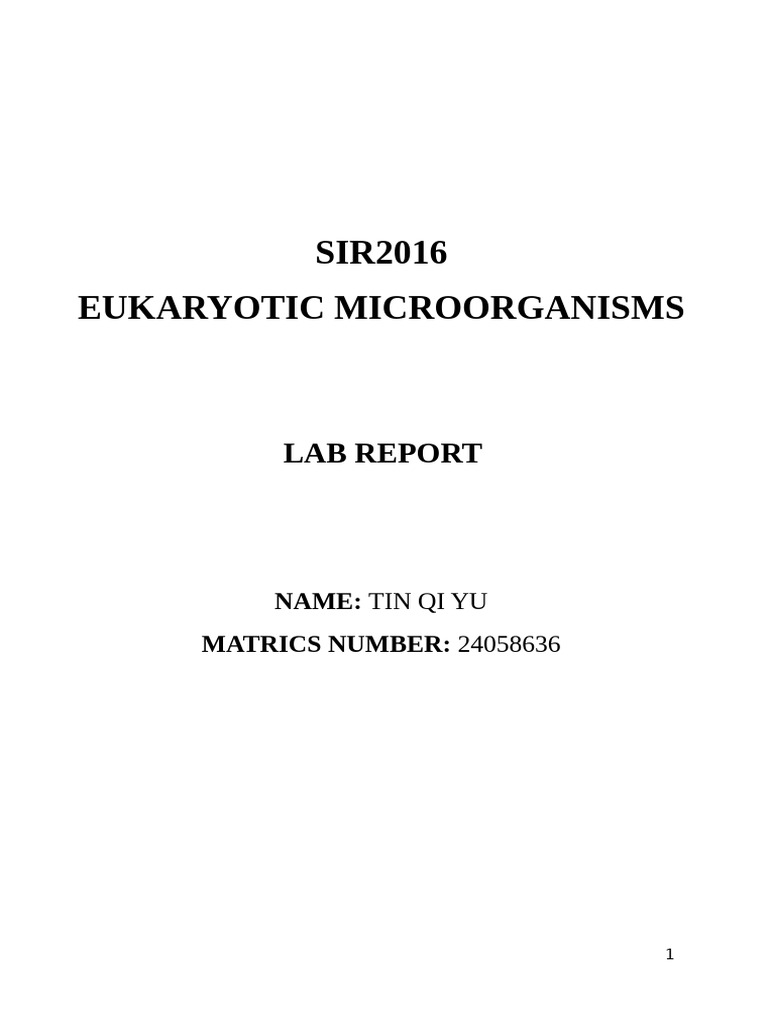 Eukaryotic Microorganisms Lab Report | PDF | Fungus | Mold