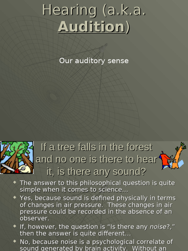 Ear Structure - Auditory Processes | PDF | Ear | Hearing