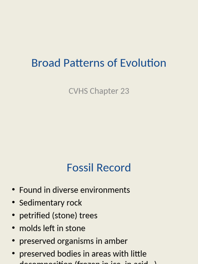 AP_Bio_Ch_23_and_24 | PDF | Evolution | Fossil
