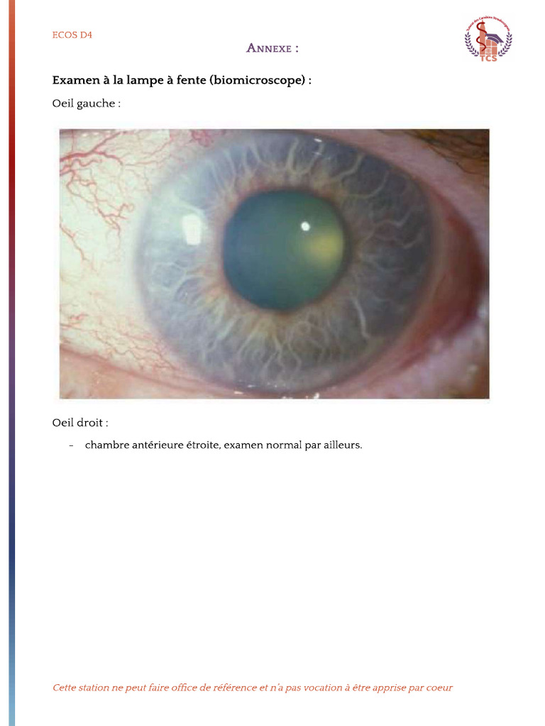 Annexe | PDF