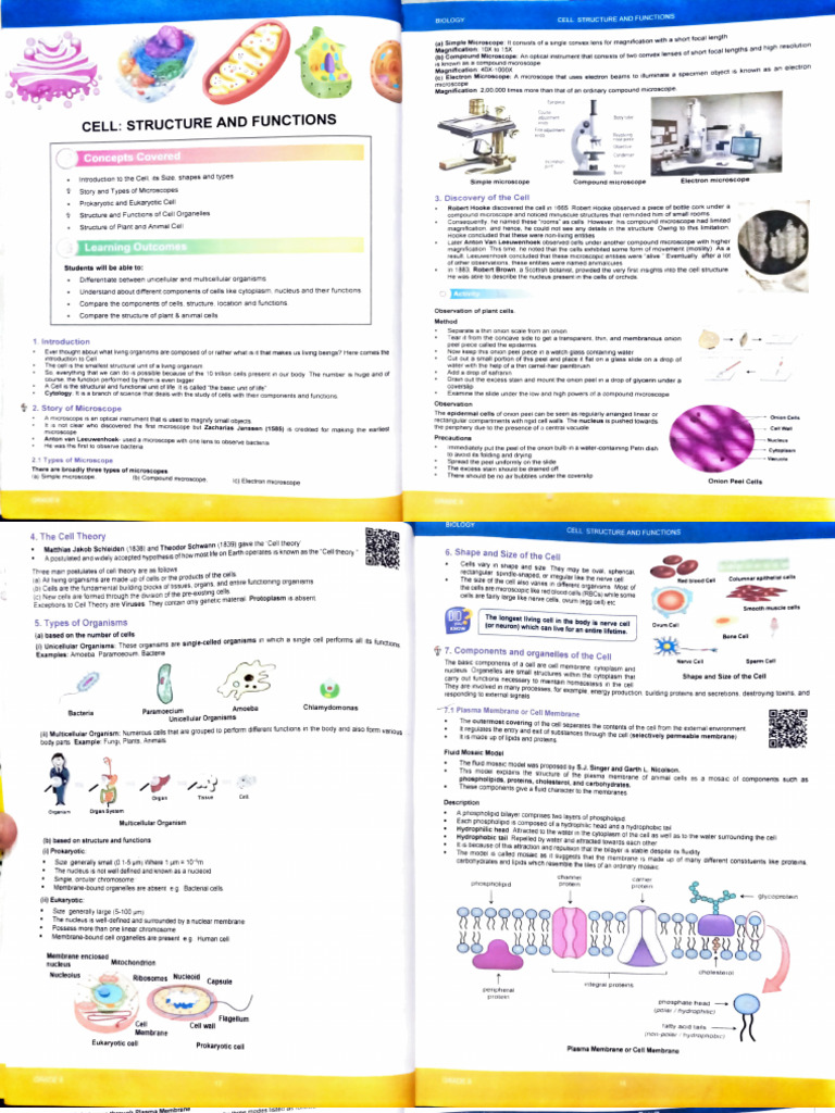 Cell Structure and Functions | PDF | Cell Membrane | Cell (Biology)