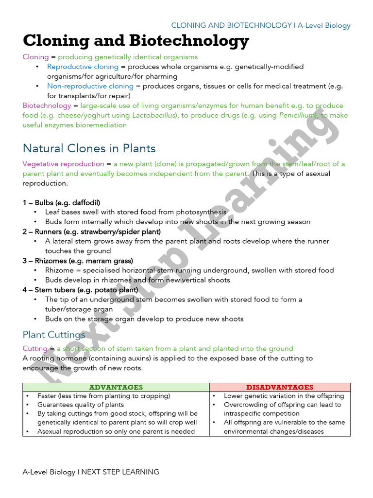 Summary - Cloning and Biotechnology | PDF | Bacteria | Biology