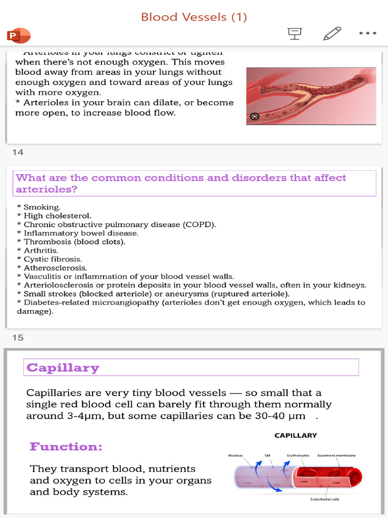 Blood Vessels (1) .PPTX - Microsoft PowerPoint Online | PDF