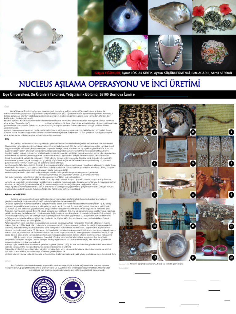 Selcuk Yigitkurt Nucleus Operation SBT 2008 Poster | PDF