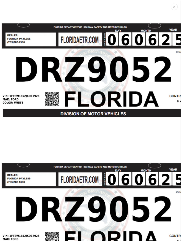 Florida License Plates & 30-Day Registration | PDF | Identity Document ...