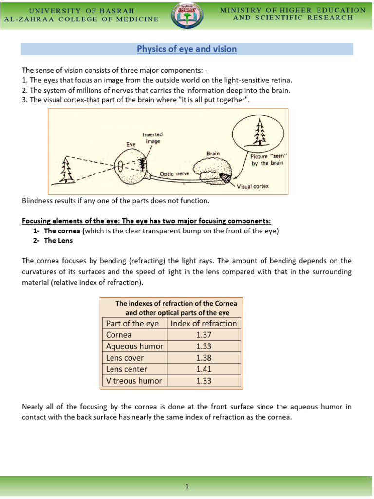 Eye and Vision Physics Explained | PDF | Eye | Cornea