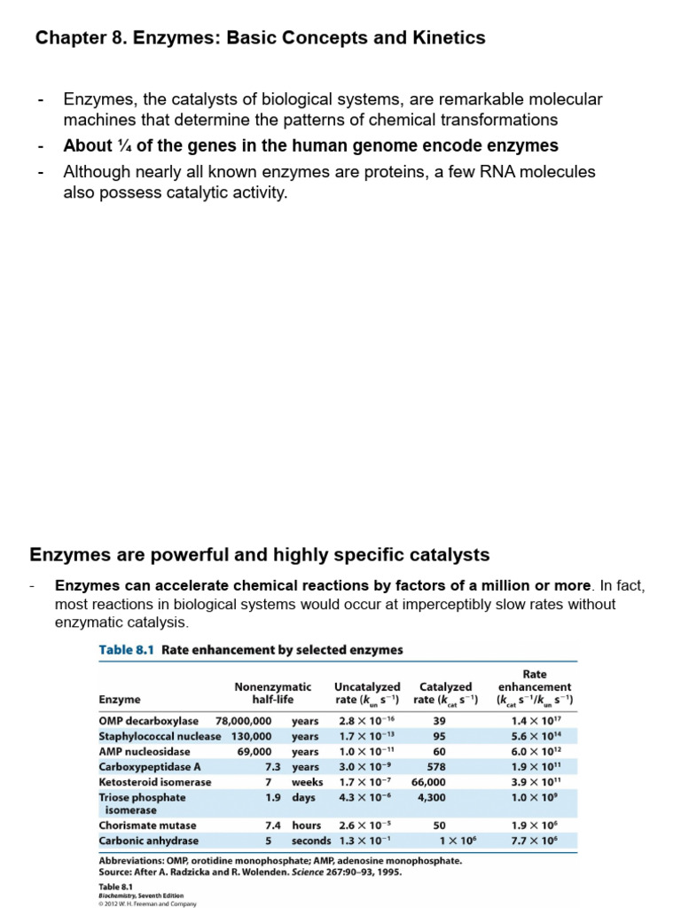 Enzyme Function and Kinetics Explained | PDF | Enzyme | Active Site