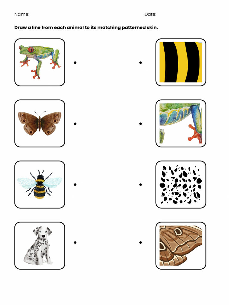 AnimalPrintPatternMatchVisualDiscriminationWorksheetsEarlyYears 1 1 | PDF