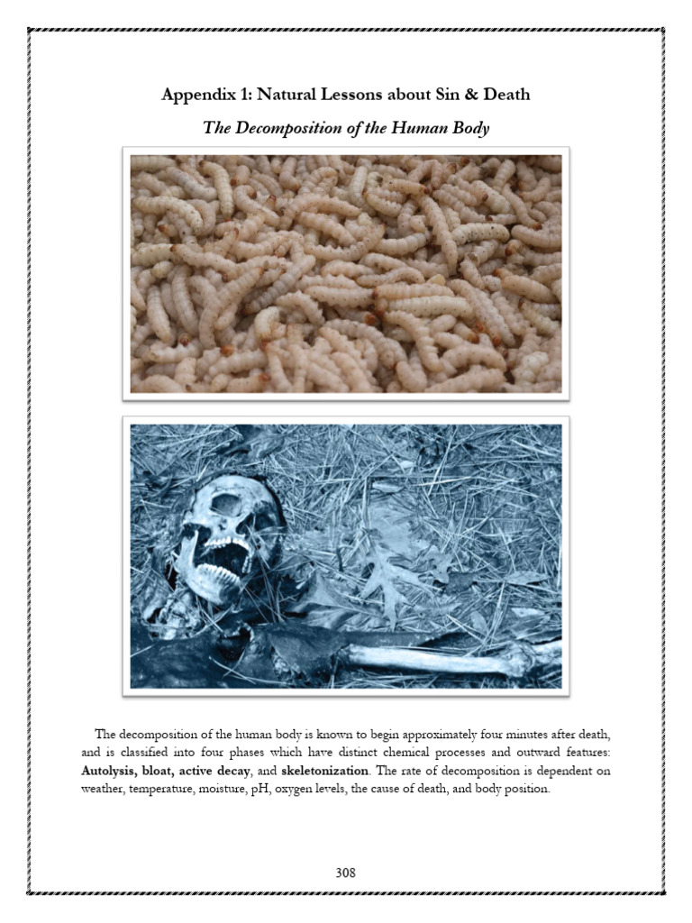 Appendix 1 | PDF | Decomposition | Hydrothermal Vent