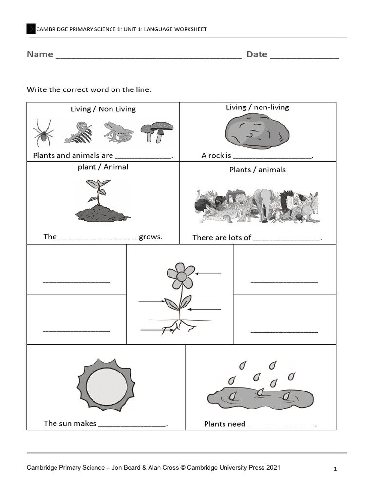 Grade 1 Science Unit 1 | PDF
